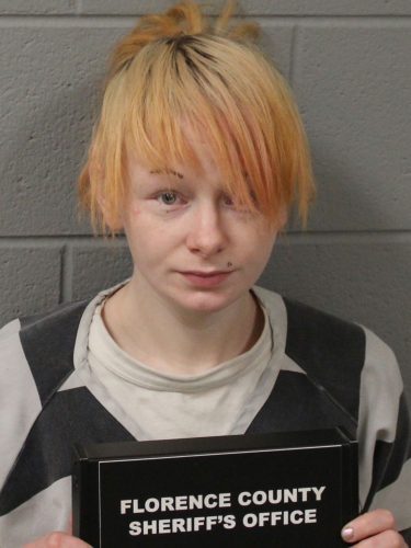 Florence woman receives jail sentence, probation | News, Sports, Jobs ...